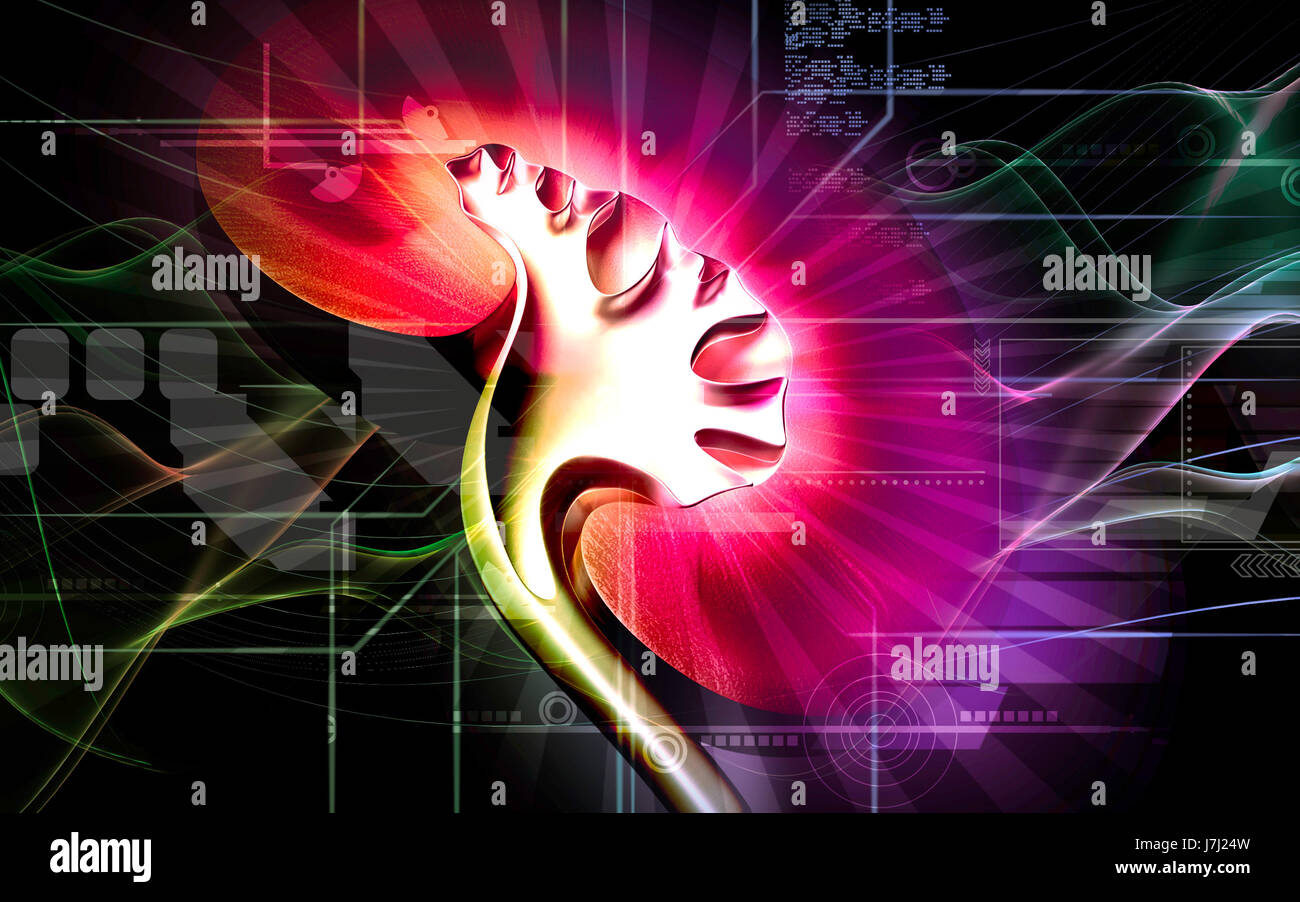 education medicinally medical graphics colour science illustration ...