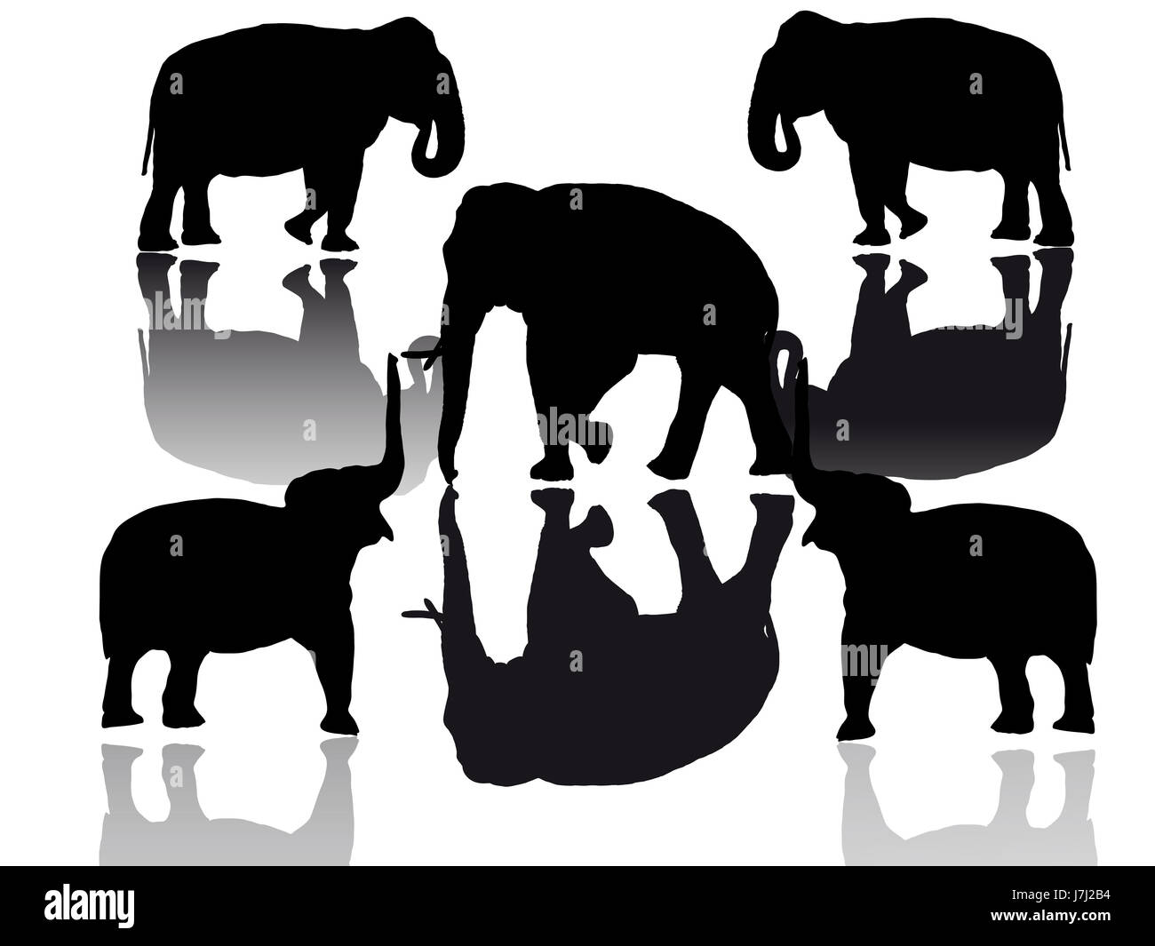 group of elephants Stock Photo - Alamy