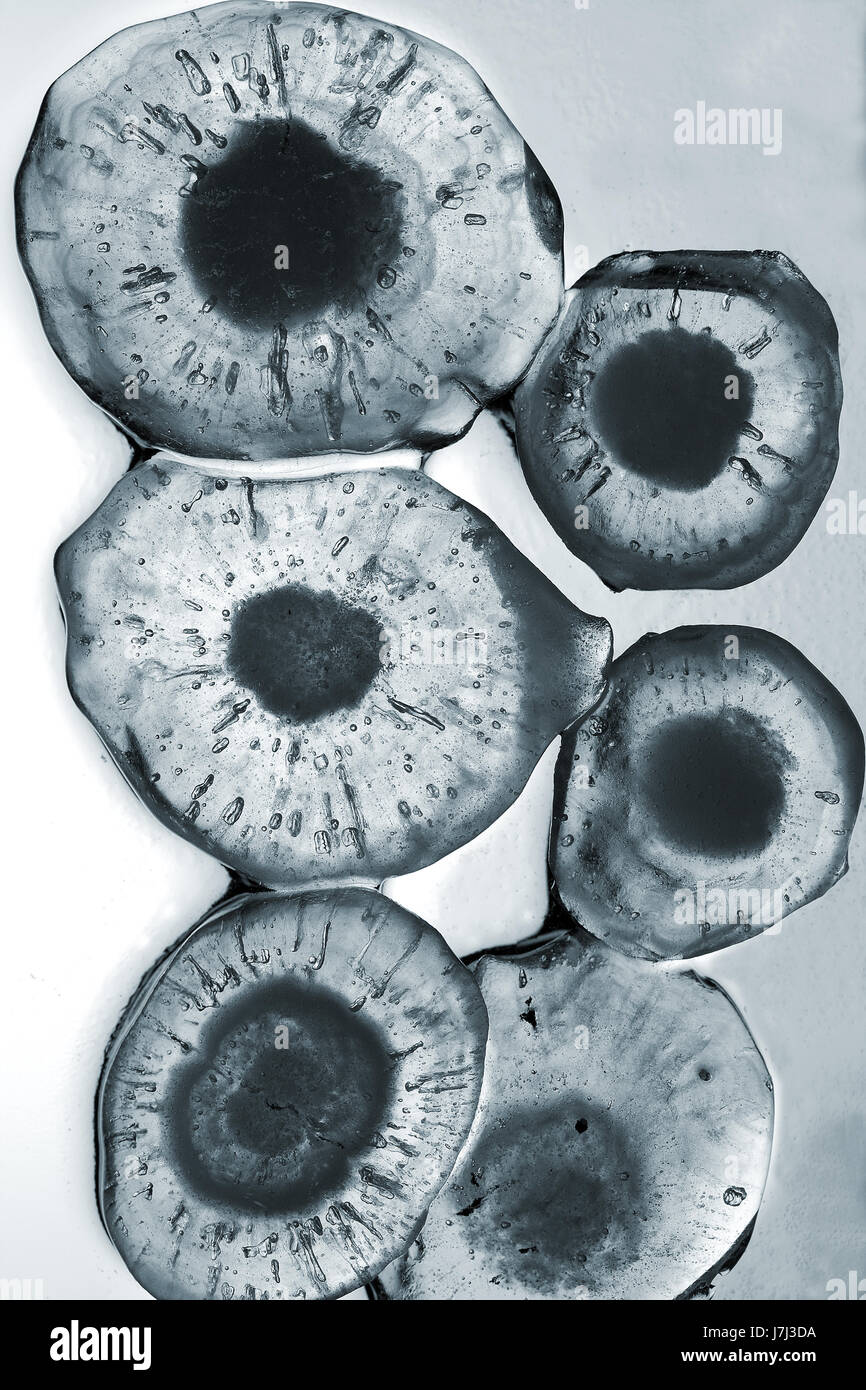 Internal structure hi-res stock photography and images - Alamy