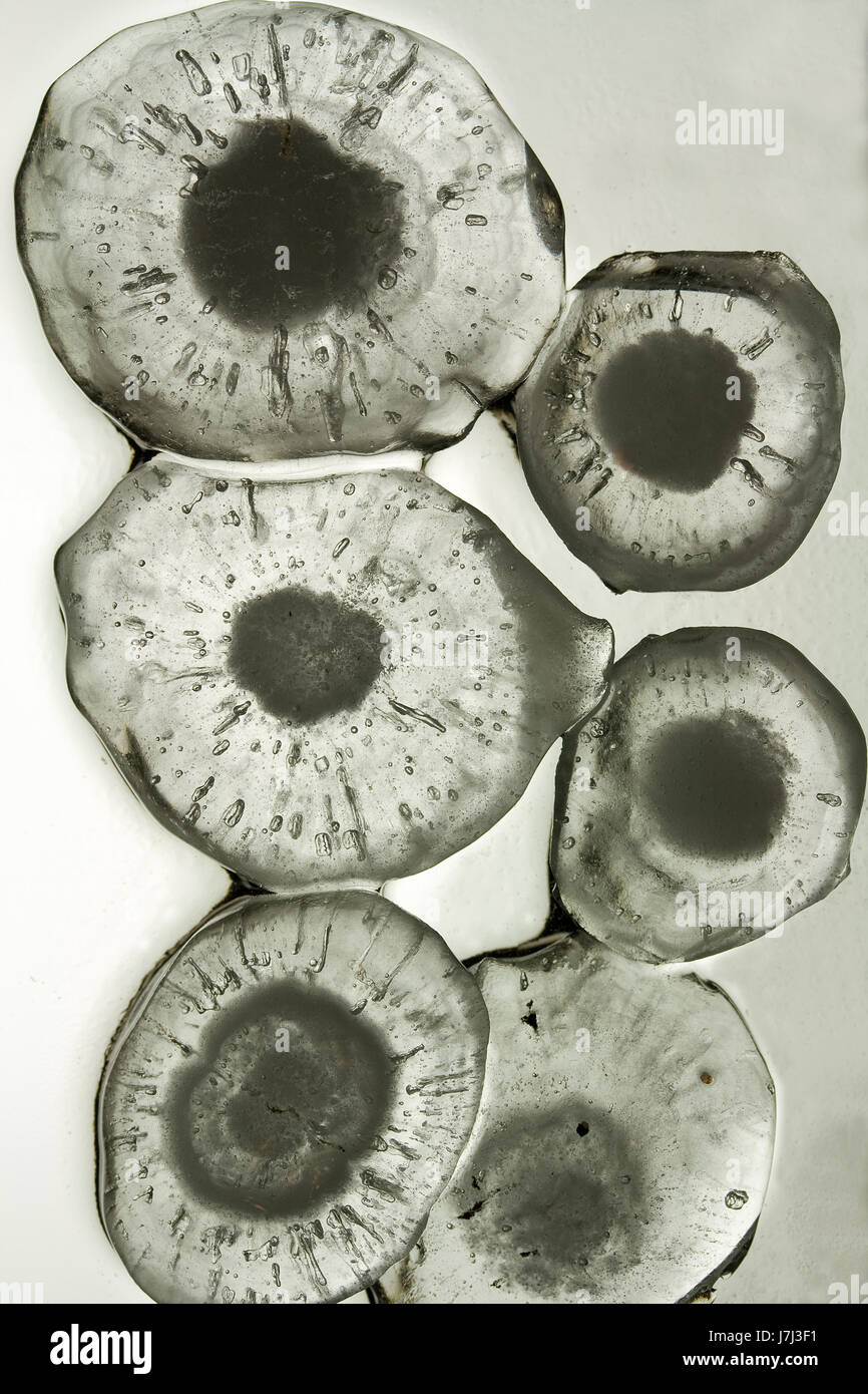Cross Section of Hailstones from Severe Summer Storm – Showing Internal ...
