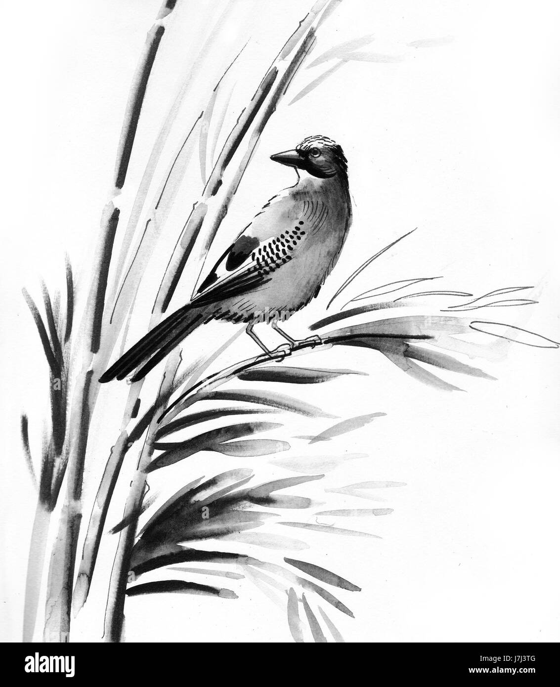 Bird in bamboo Stock Photo - Alamy