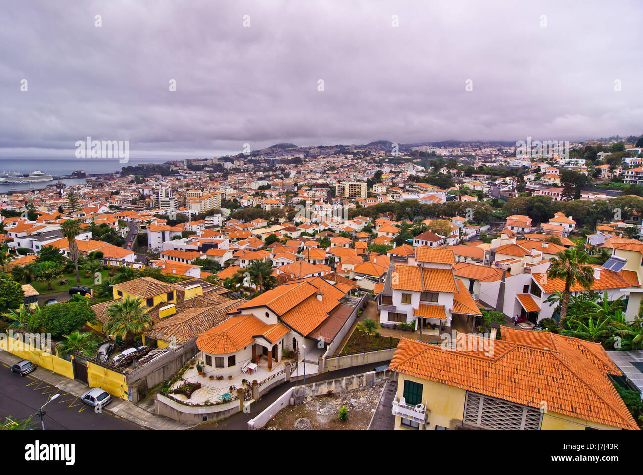 houses terraces portugal madeira scenery countryside nature traveling ...