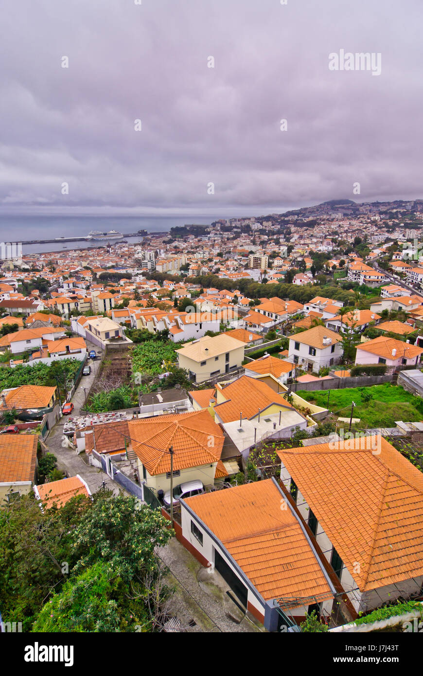 houses terraces portugal madeira scenery countryside nature traveling ...