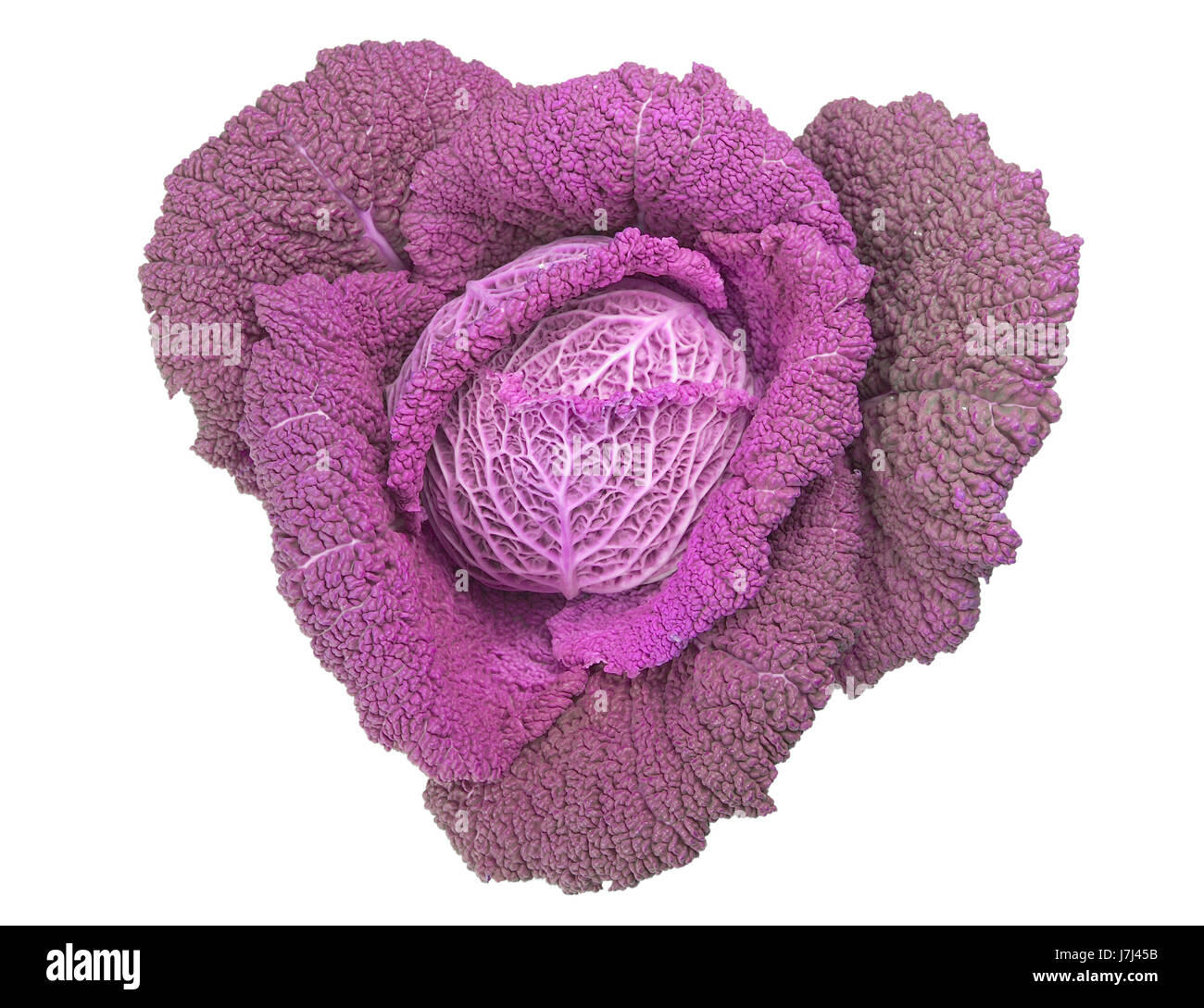 food aliment leaves vegetable cabbage edible leafy nutrition foliage ...