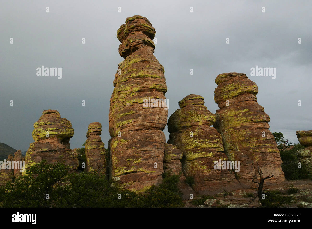 usa rock america arizona boulders stones tower usa rock america bushes ...