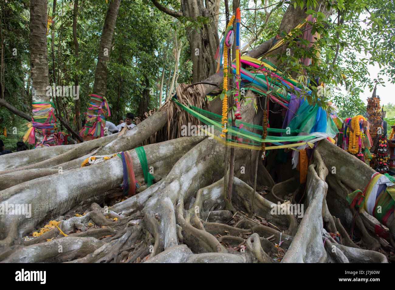 wat kham chanot isan Thailand Stock Photo - Alamy