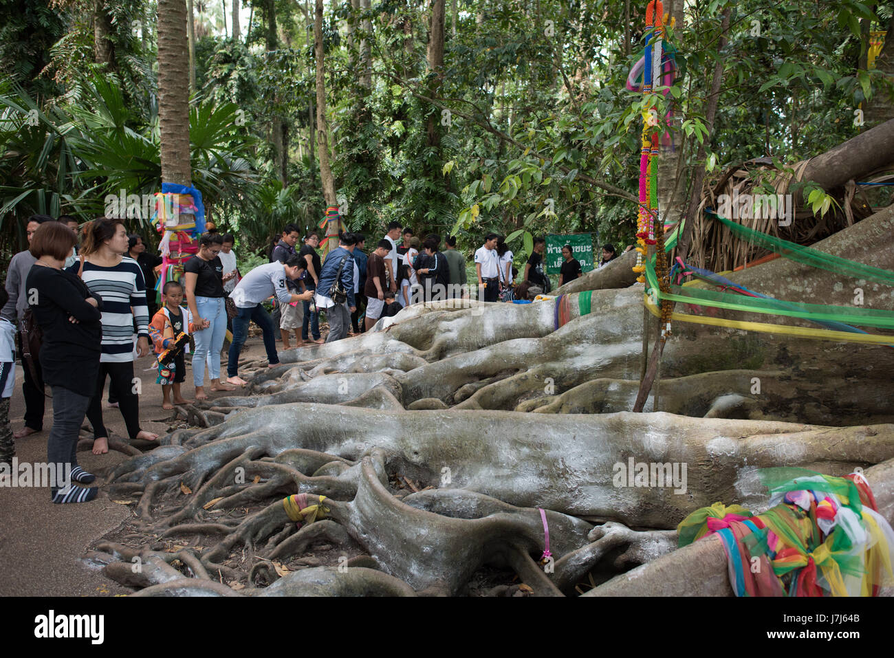 wat kham chanot isan Thailand Stock Photo - Alamy