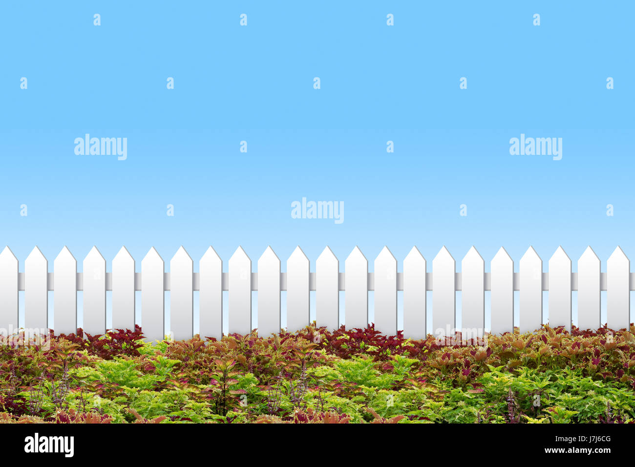park garden bush shrub fence fence in fencing picket firmament sky ...