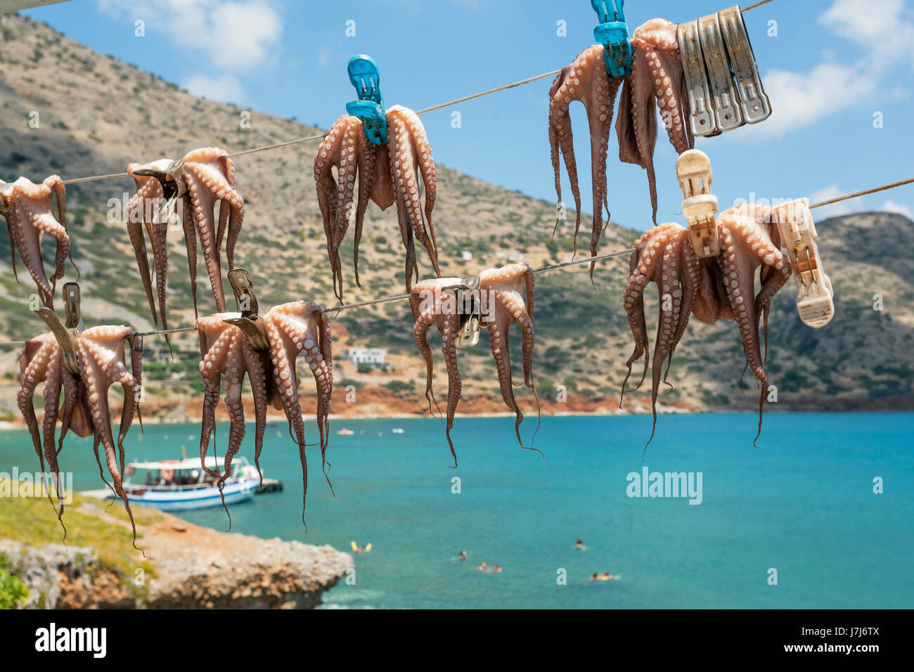 Octopuses hung up to dry on washing lines, Plaka beach, Crete, Greece ...