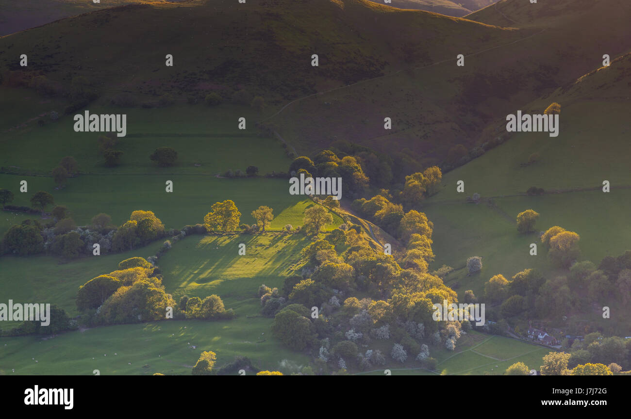 Evening sunlight spotlighting trees on the eastern flanks of the Long ...