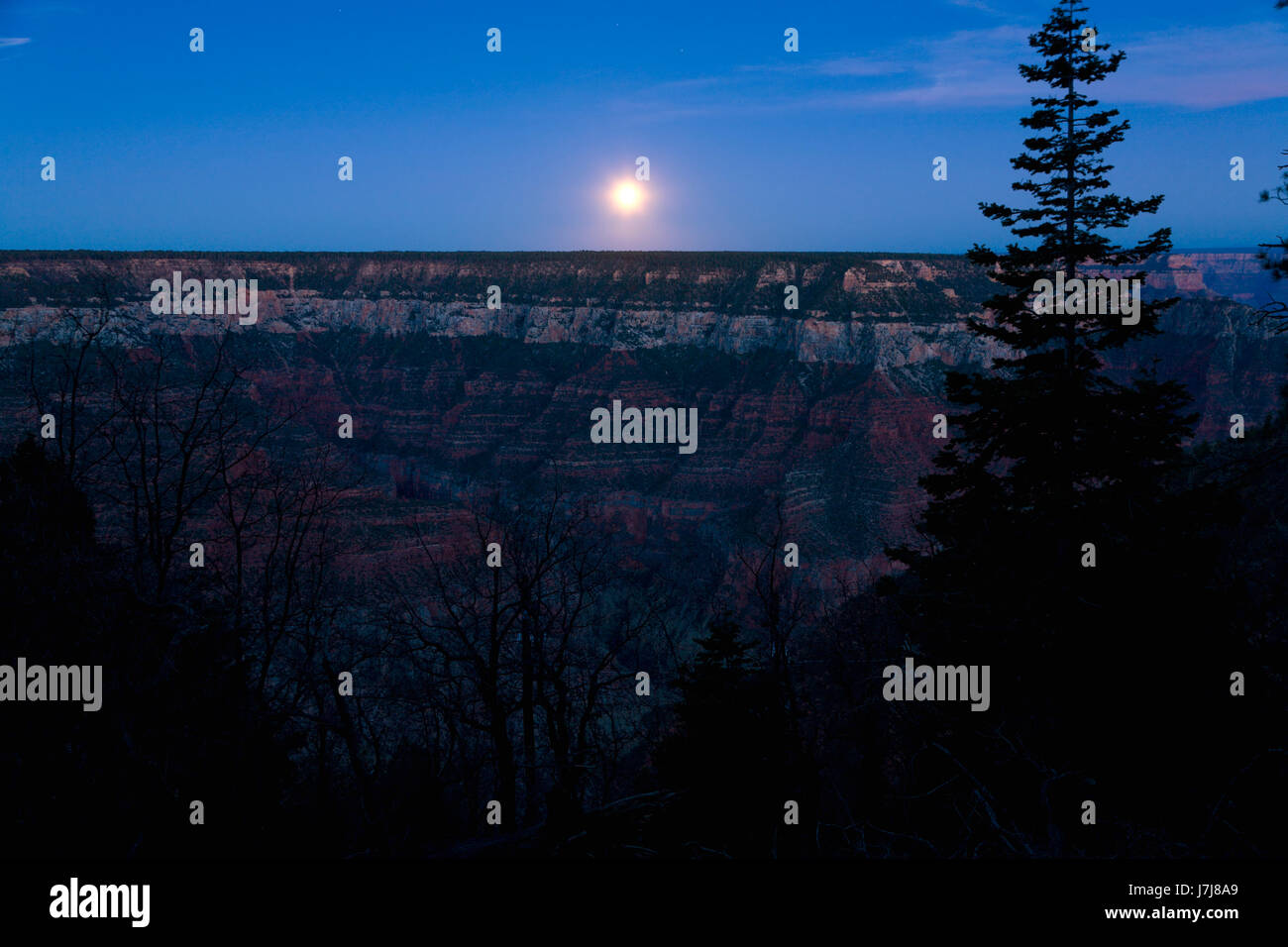 night nighttime arizona Canyon grand magnific landscape scenery ...