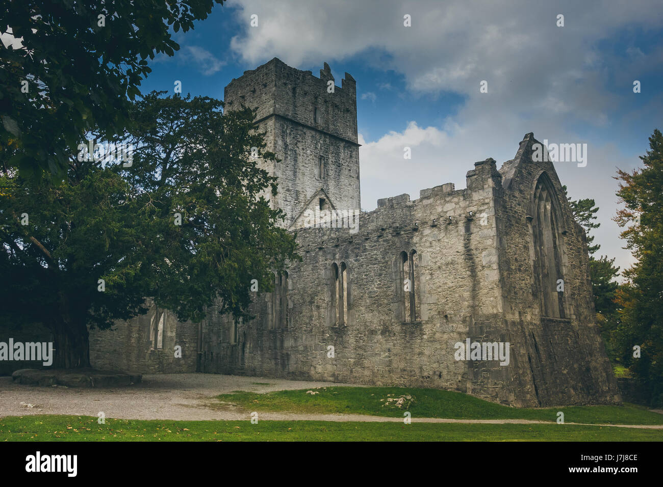 a view of the muckross abbey Stock Photo - Alamy