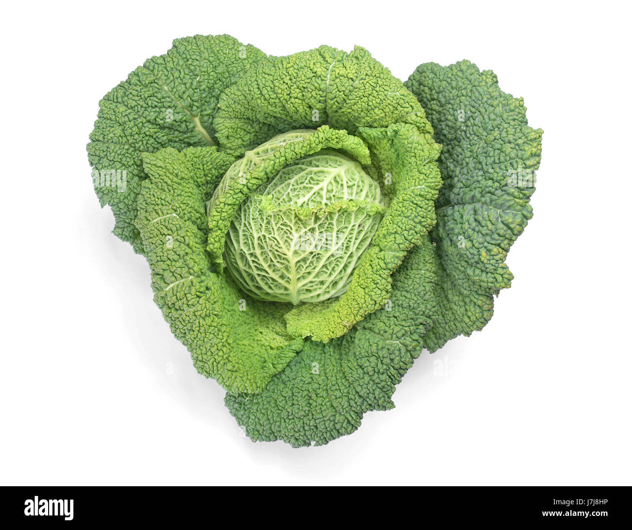 leaves soft vegetable cabbage edible leafy white foliage plant food ...