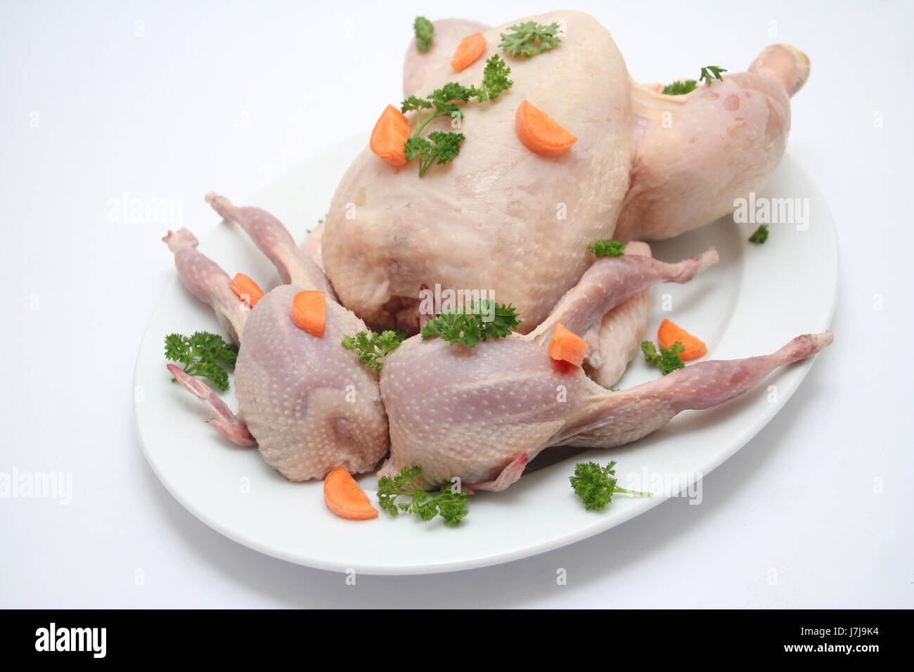 poultry chicken quality pullet quail quails meat food aliment prepare ...