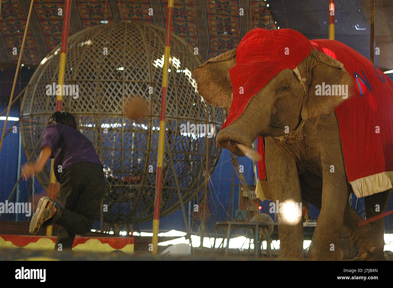 Mapusa, Goa, India: circus Stock Photo - Alamy