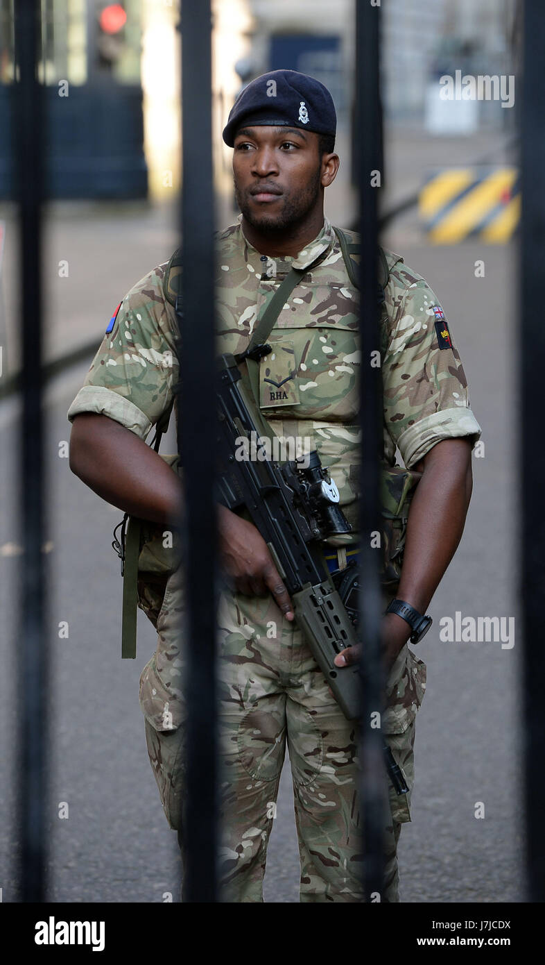 A member of the Royal Horse Artillery joins police in Downing Street ...