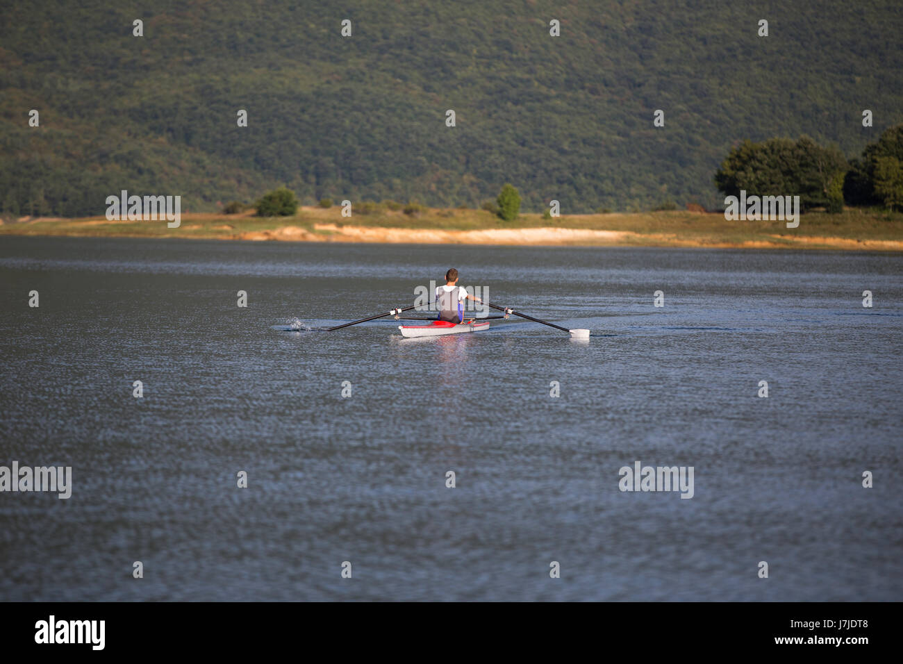 Single scull rowing competitor paddles hi-res stock photography and ...