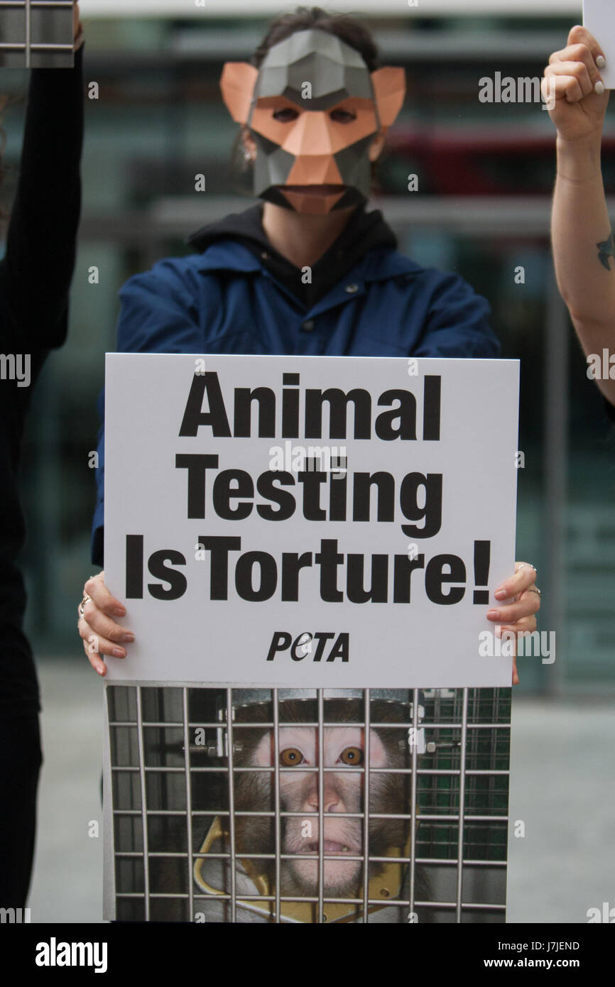 Peta animal testing hi-res stock photography and images - Alamy
