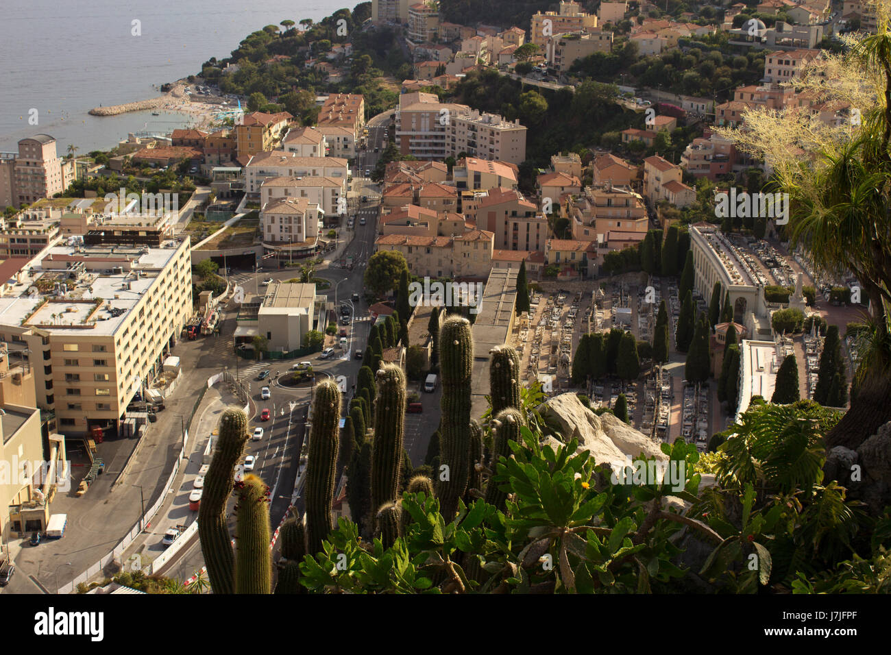Exotic garden of Monaco, jardins exotique de Monaco: collection of ...
