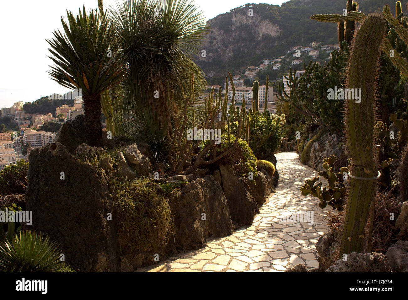 Exotic garden of Monaco, jardins exotique de Monaco: collection of ...