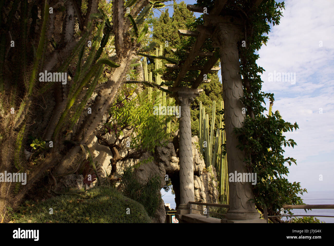 Exotic garden of Monaco, jardins exotique de Monaco: collection of ...