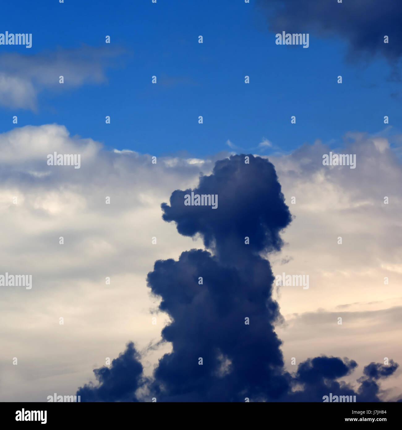 Clouds in form of animals at evening Stock Photo - Alamy