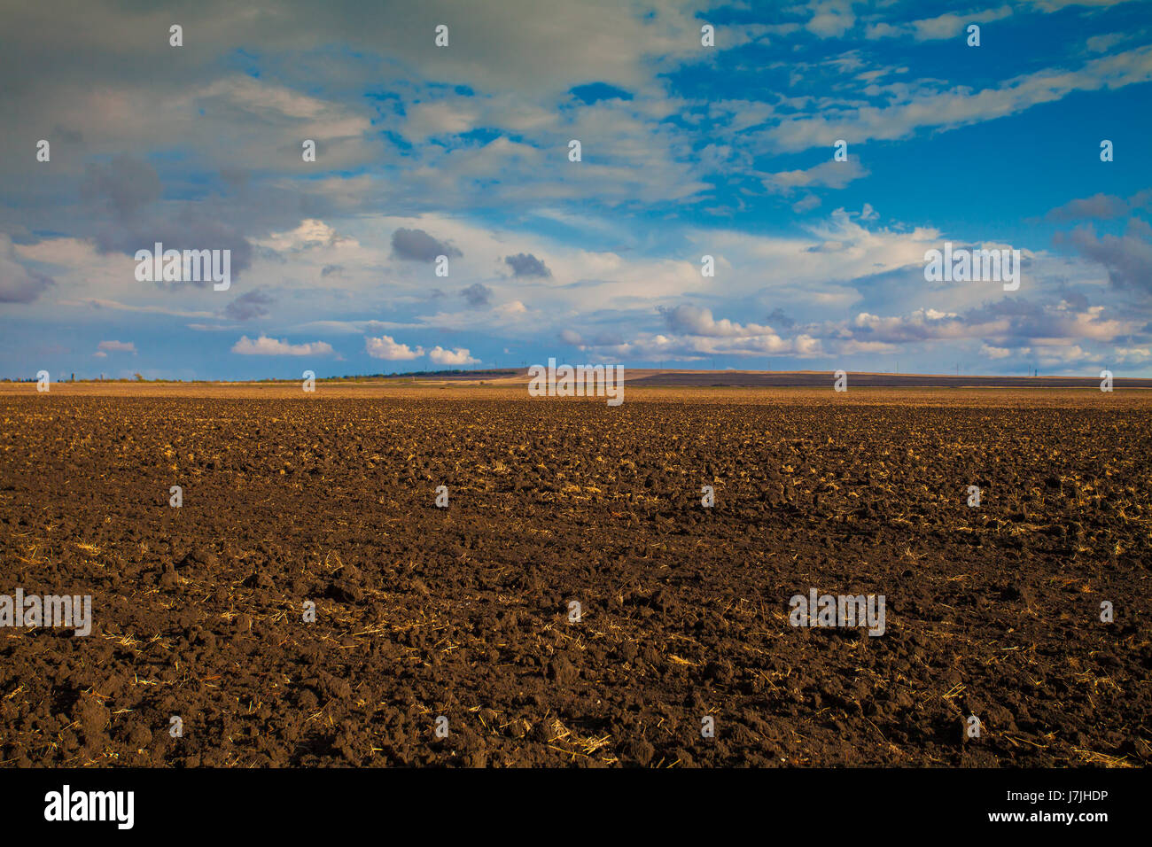 Agriculture arable bio hi-res stock photography and images - Alamy