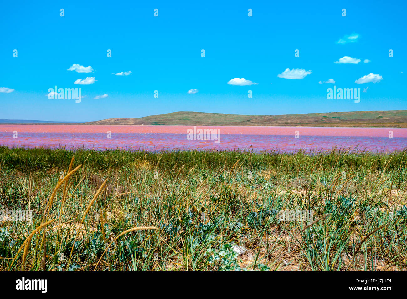 Wilde landscape with Pink lake Stock Photo - Alamy