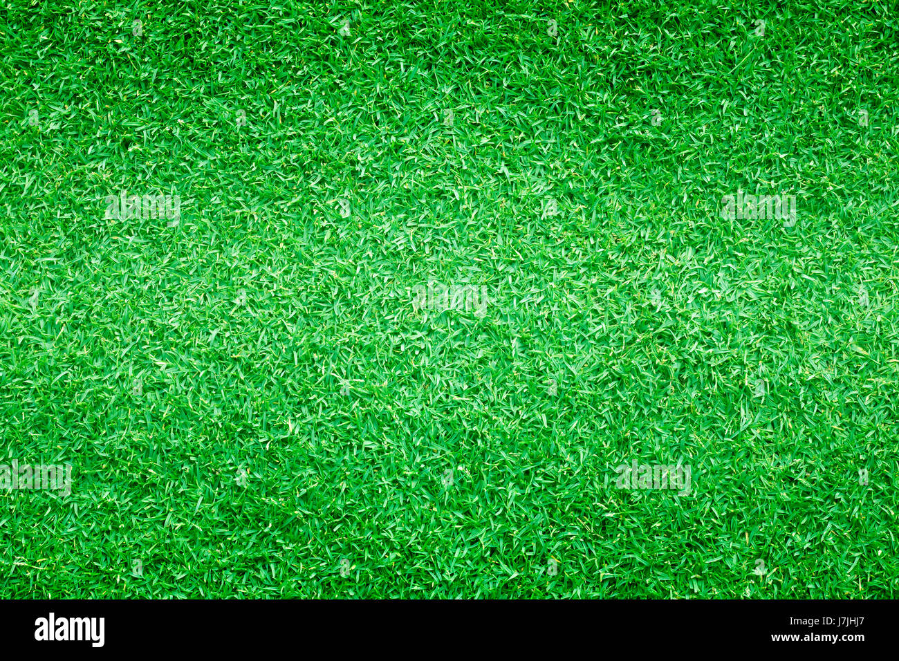 grass background Golf Courses green lawn pattern textured background ...
