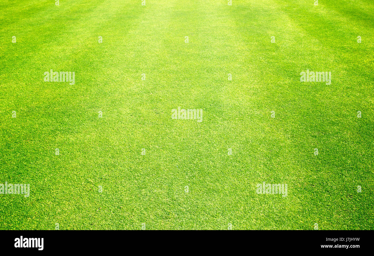 grass background Golf Courses green lawn pattern textured background ...