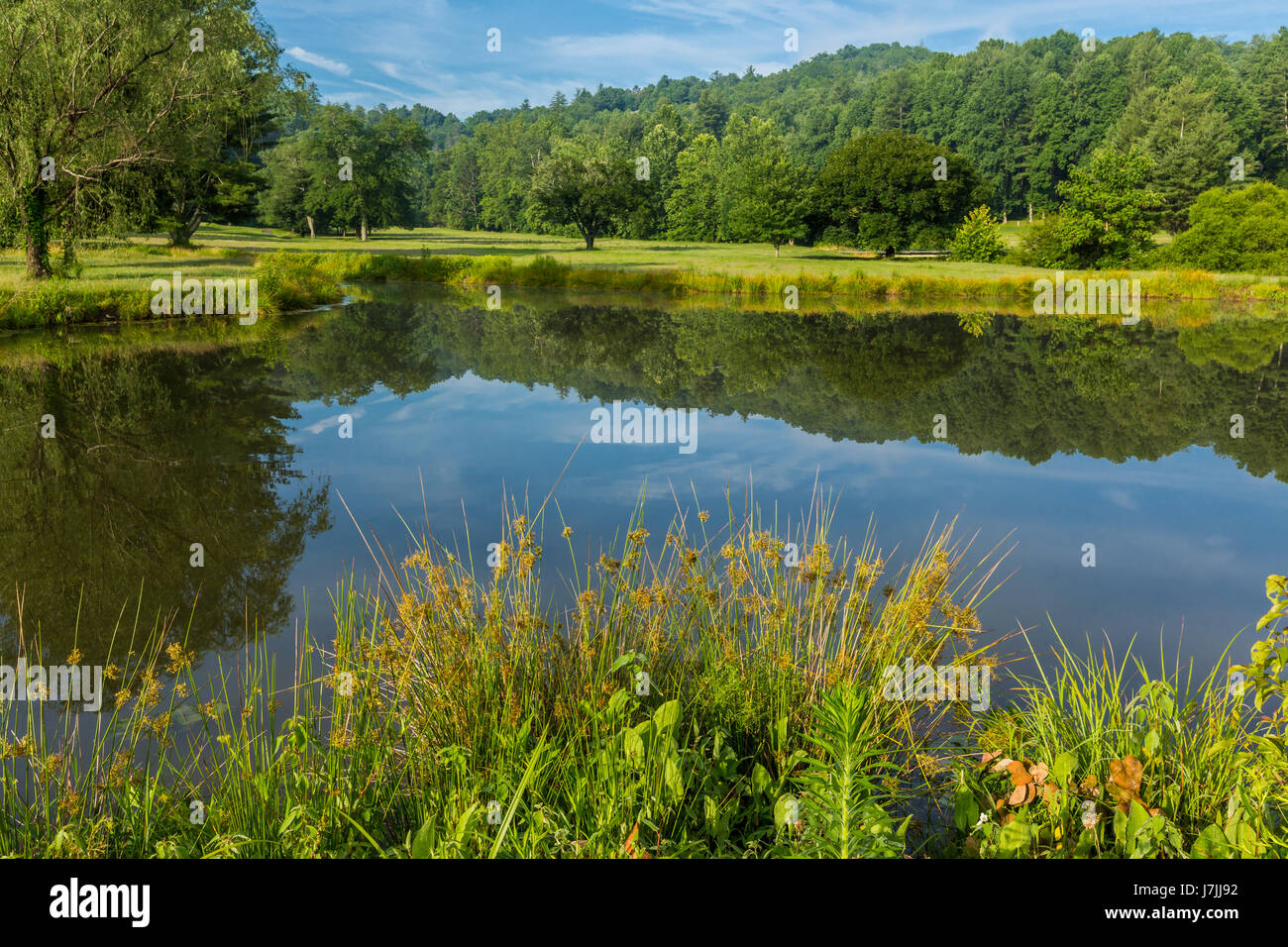 Golf course water hazard surrounded by flowers and trees Stock Photo ...