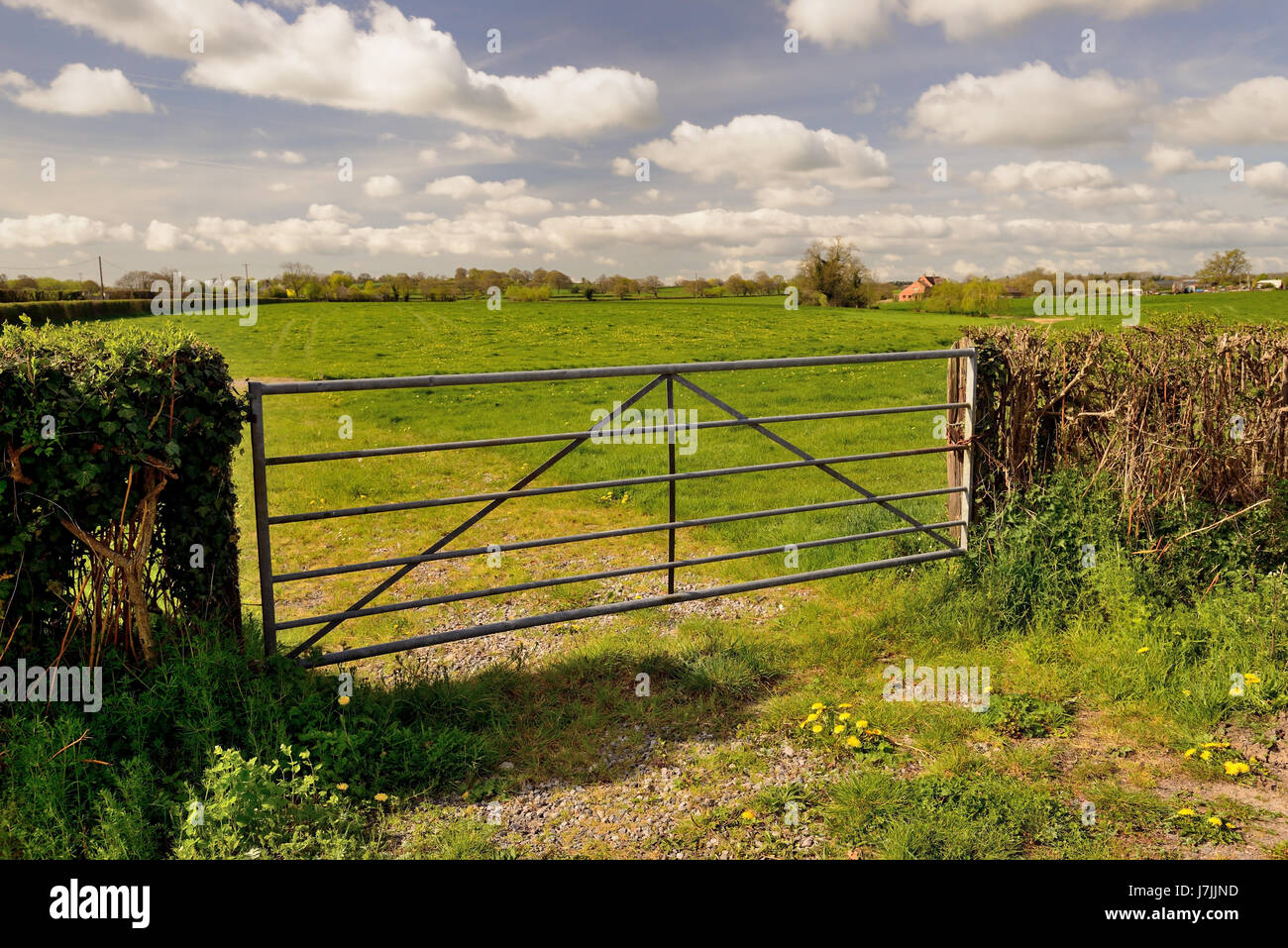 A metal field gate in open countryside Stock Photo - Alamy