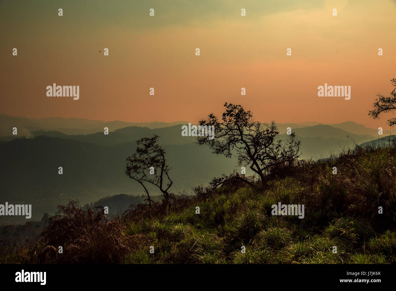 India kerala munnar dawn light hi-res stock photography and images - Alamy