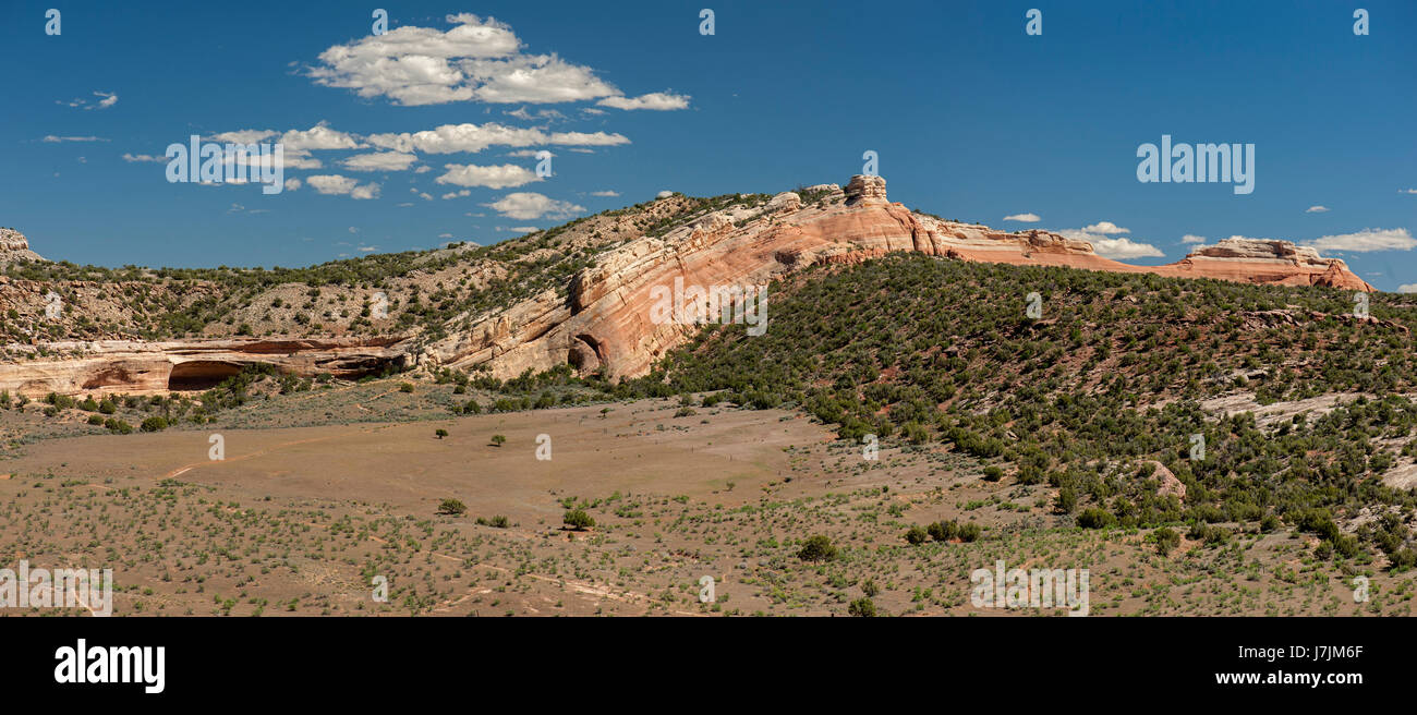 Entrada sandstone in Rabbit Valley, Colorado Stock Photo - Alamy