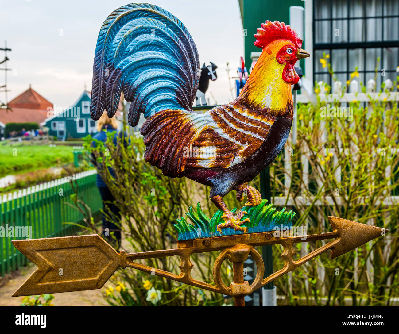 Brass Rooster Windvane Zaanse Schans Old Windmill Village Countryside ...