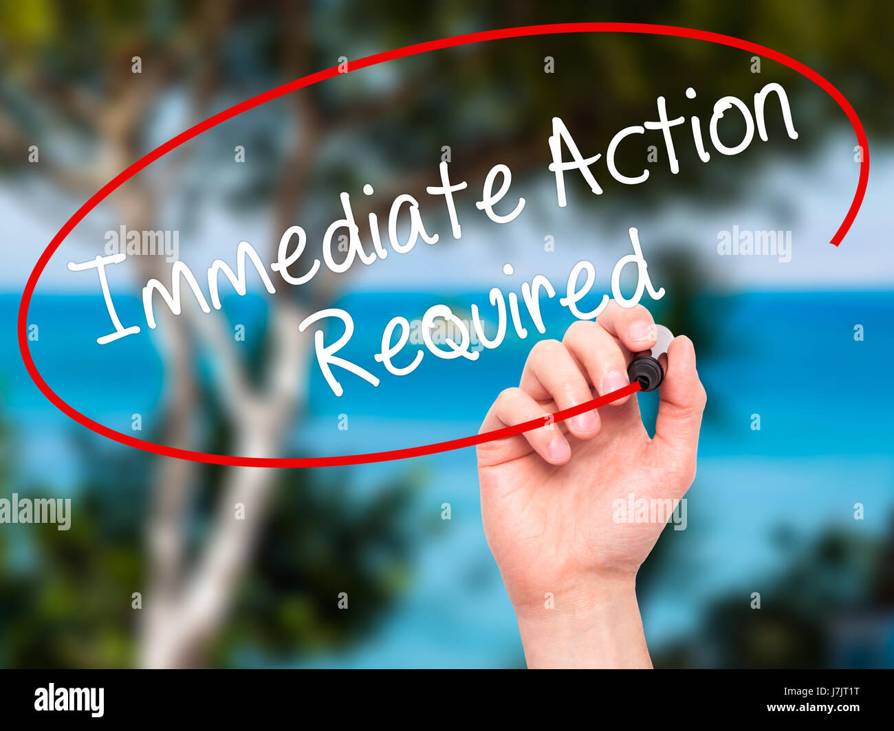 Man Hand writing Immediate Action Required with black marker on visual ...