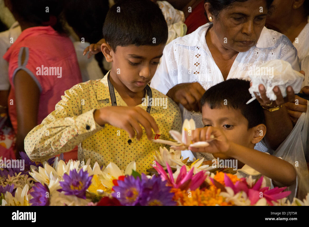 Kandy Sri Lanka Temple of the Sacred Tooth on Navam Full Moon Poya Day ...