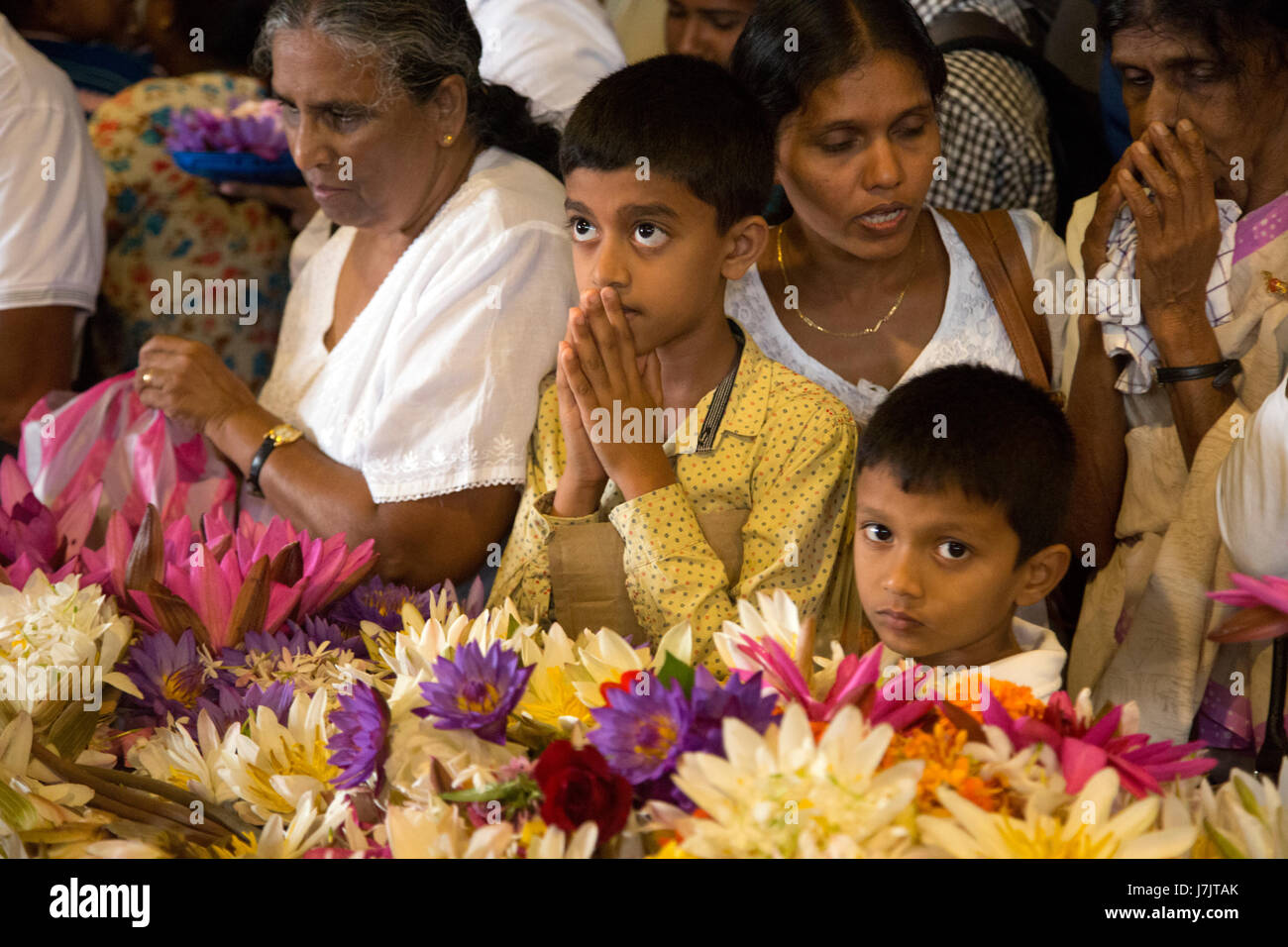 Kandy Sri Lanka Temple of the Sacred Tooth on Navam Full Moon Poya Day ...
