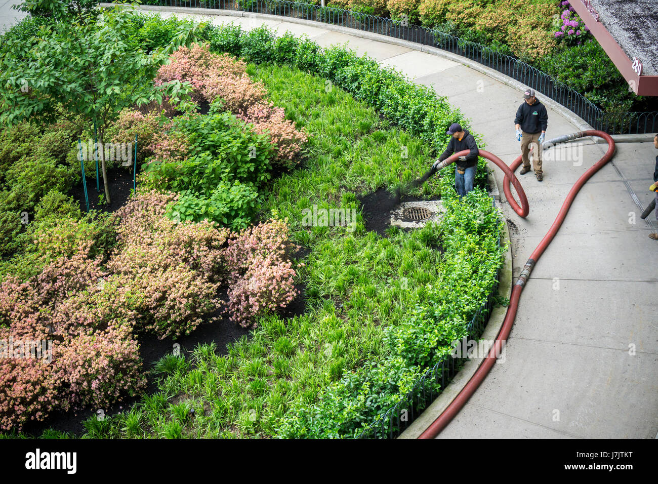 Workers pump mulch into the plantings at the entrance to an apartment ...