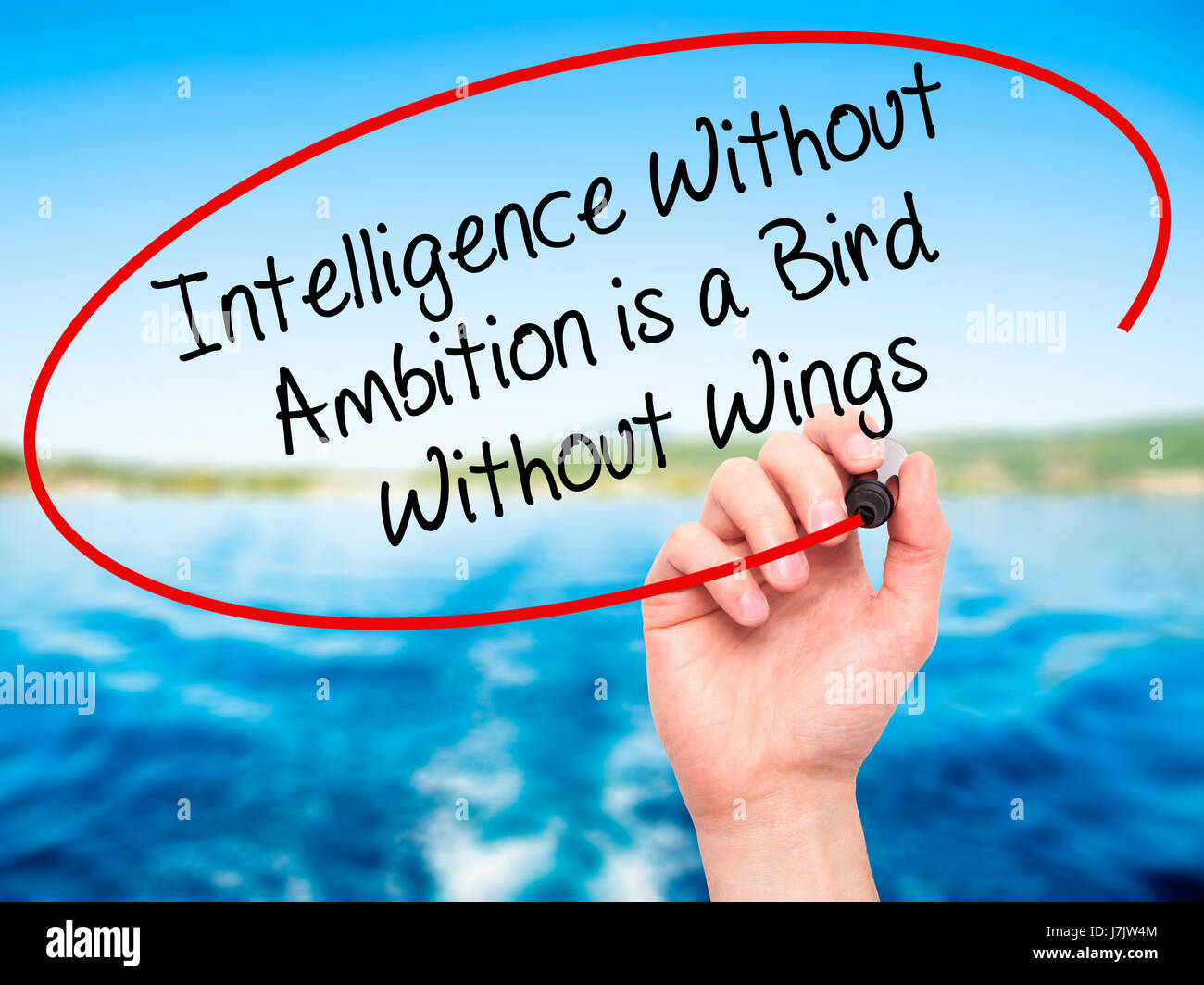 Man Hand writing Intelligence Without Ambition is a Bird Without Wings ...