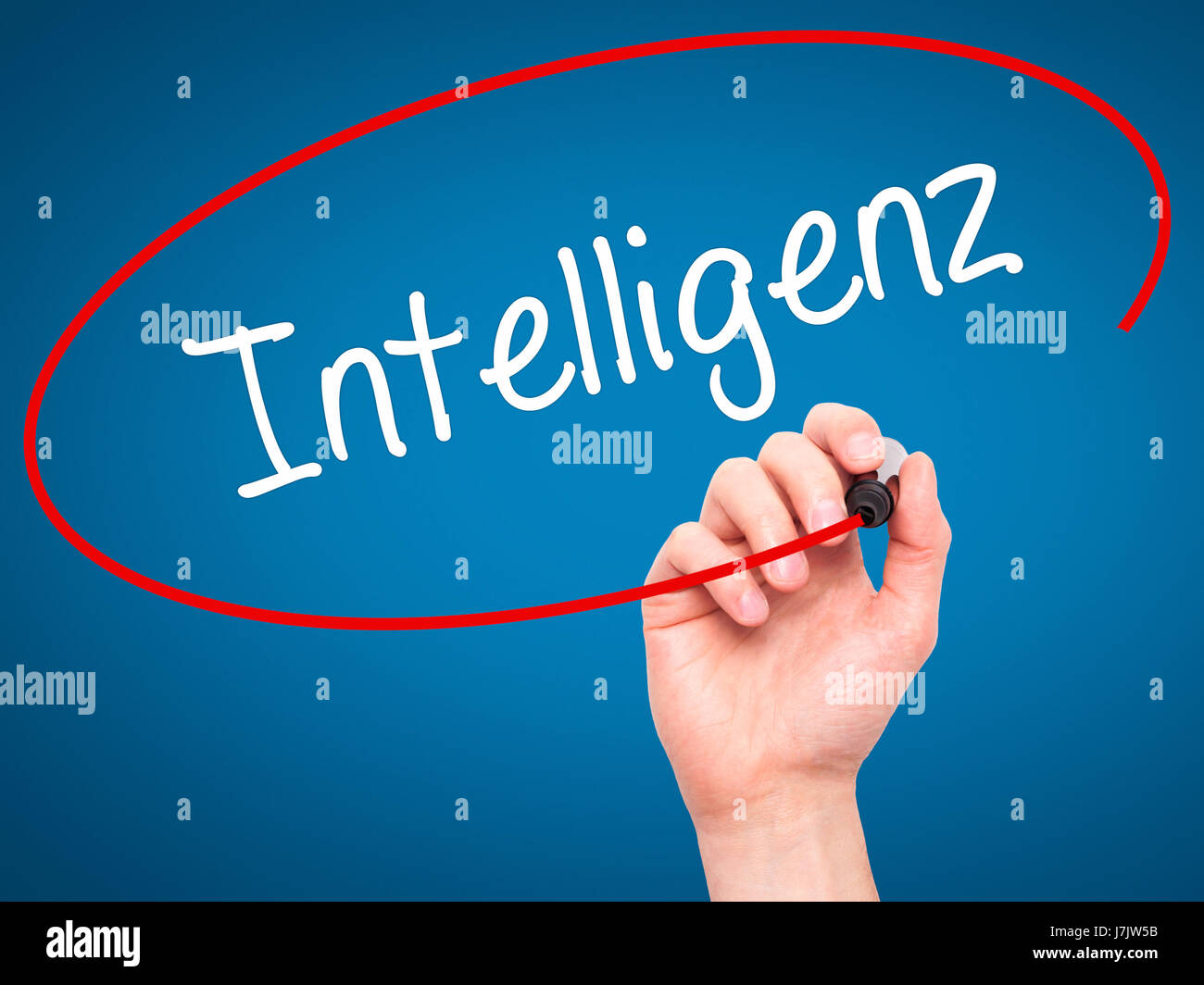 Man Hand writing Intelligenz (Intelligence in German) with black marker ...