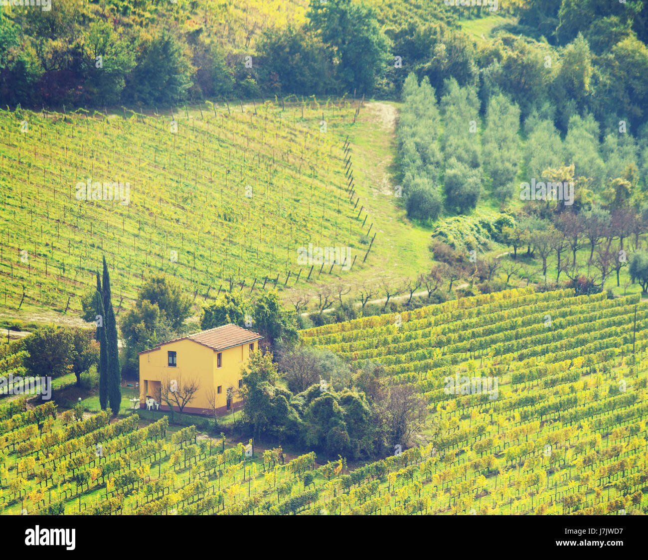yellow farmhouse in Tuscany, Italy Stock Photo - Alamy