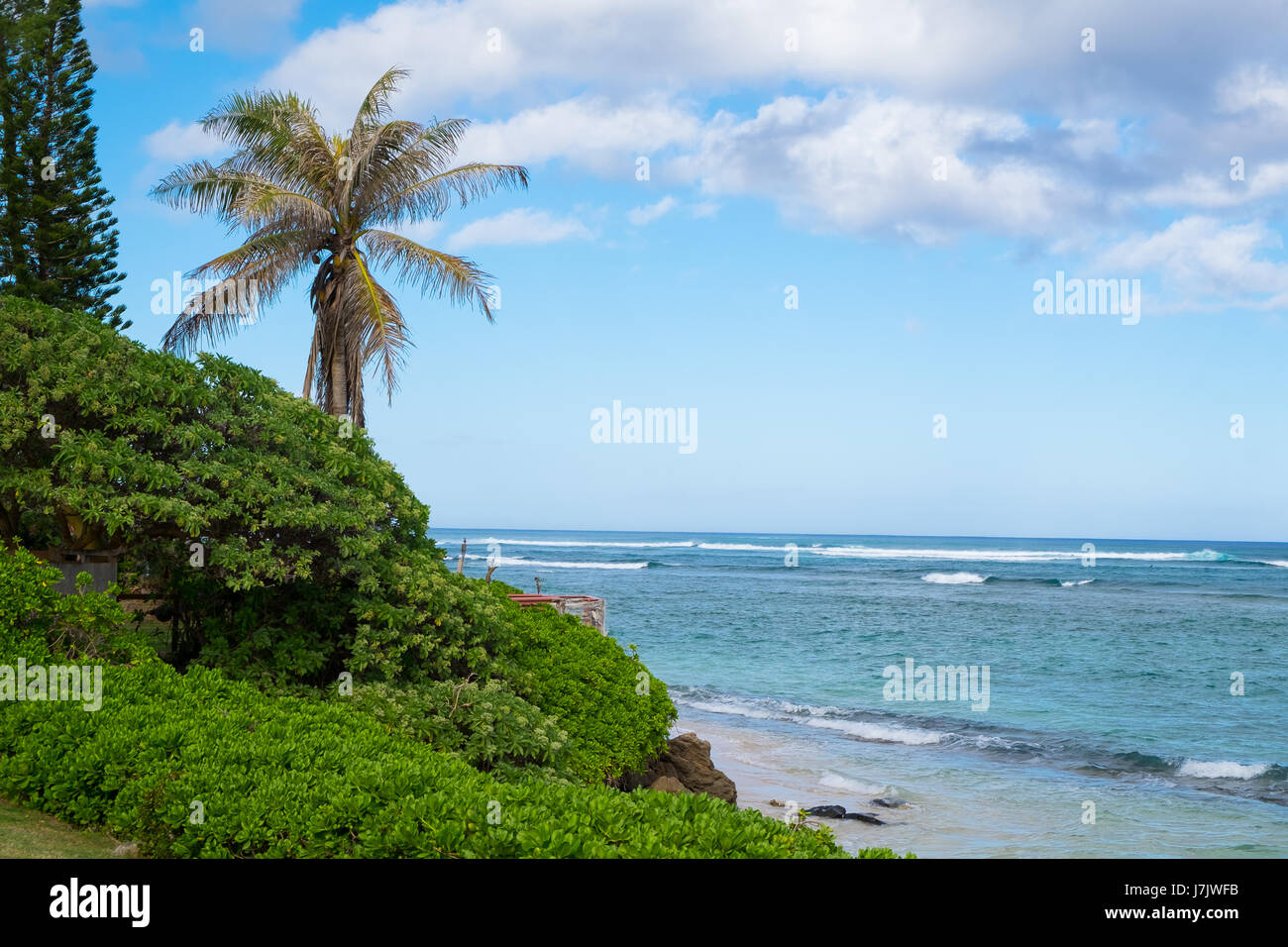 Tropical Paradise Beach Oahu Hawaii Stock Photo - Alamy