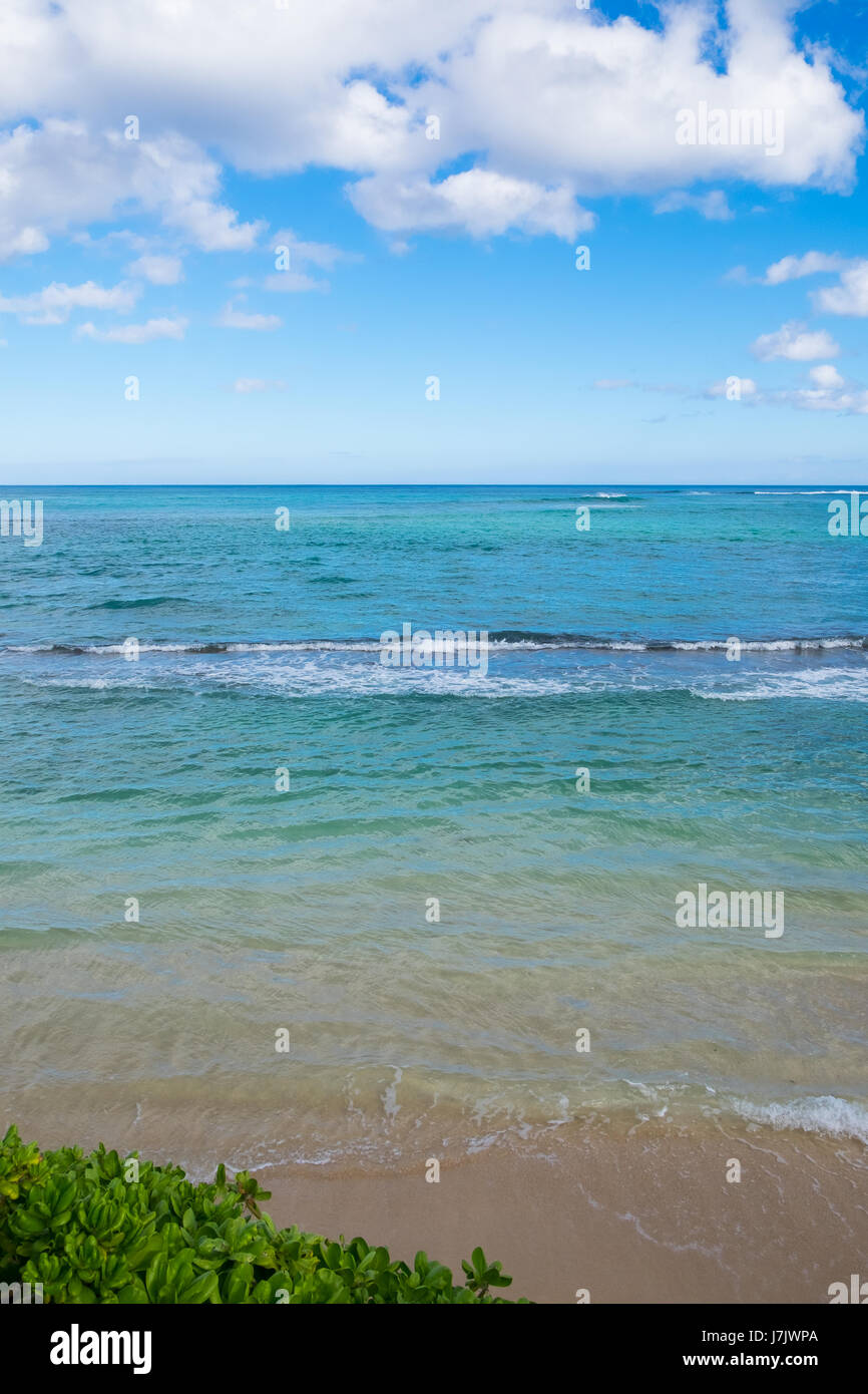 Tropical Paradise Beach Oahu Hawaii Stock Photo - Alamy