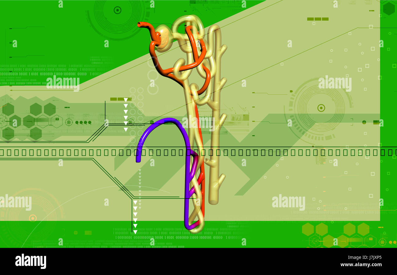 education graphics colour science illustration imagination blood ...