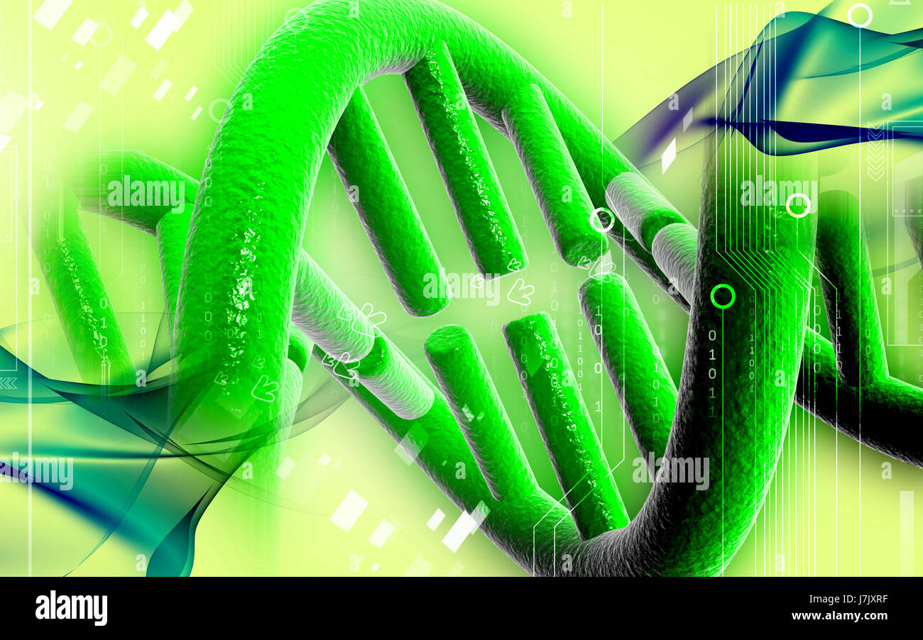 education medicinally medical graphics colour science illustration ...