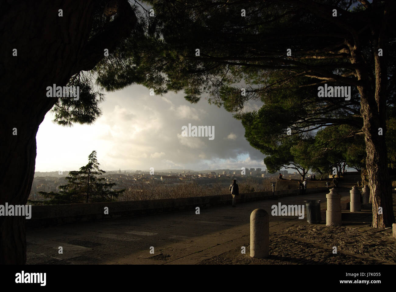 humans human beings people folk persons human human being houses tree ...