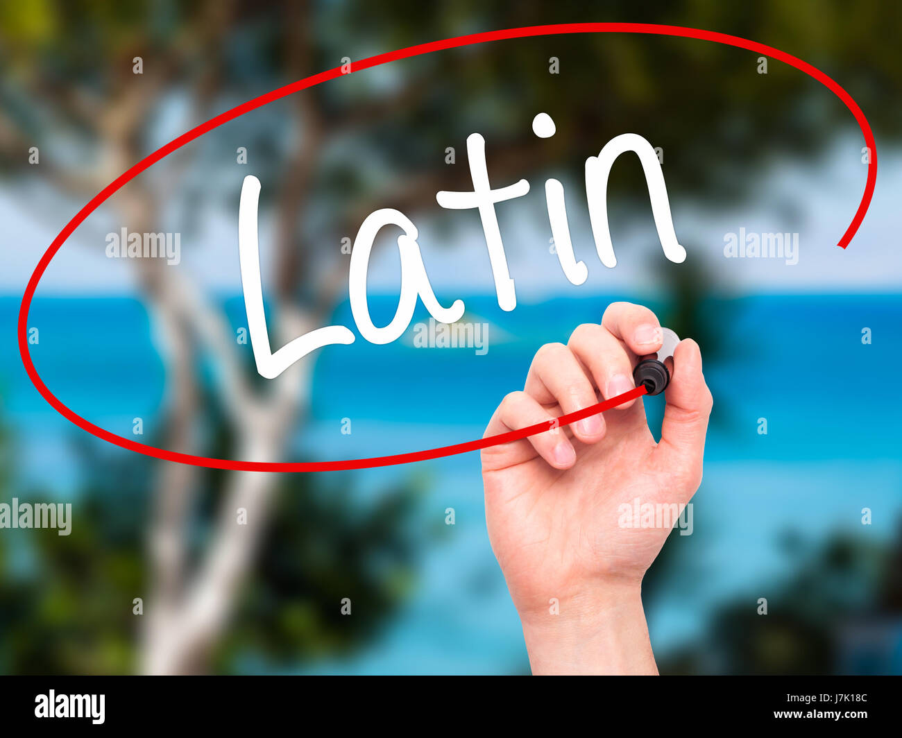 Man Hand writing Latin with black marker on visual screen. Isolated on ...