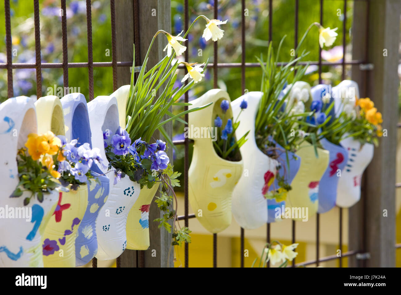 gardens still life object objects thing garden flower plant flowers ...