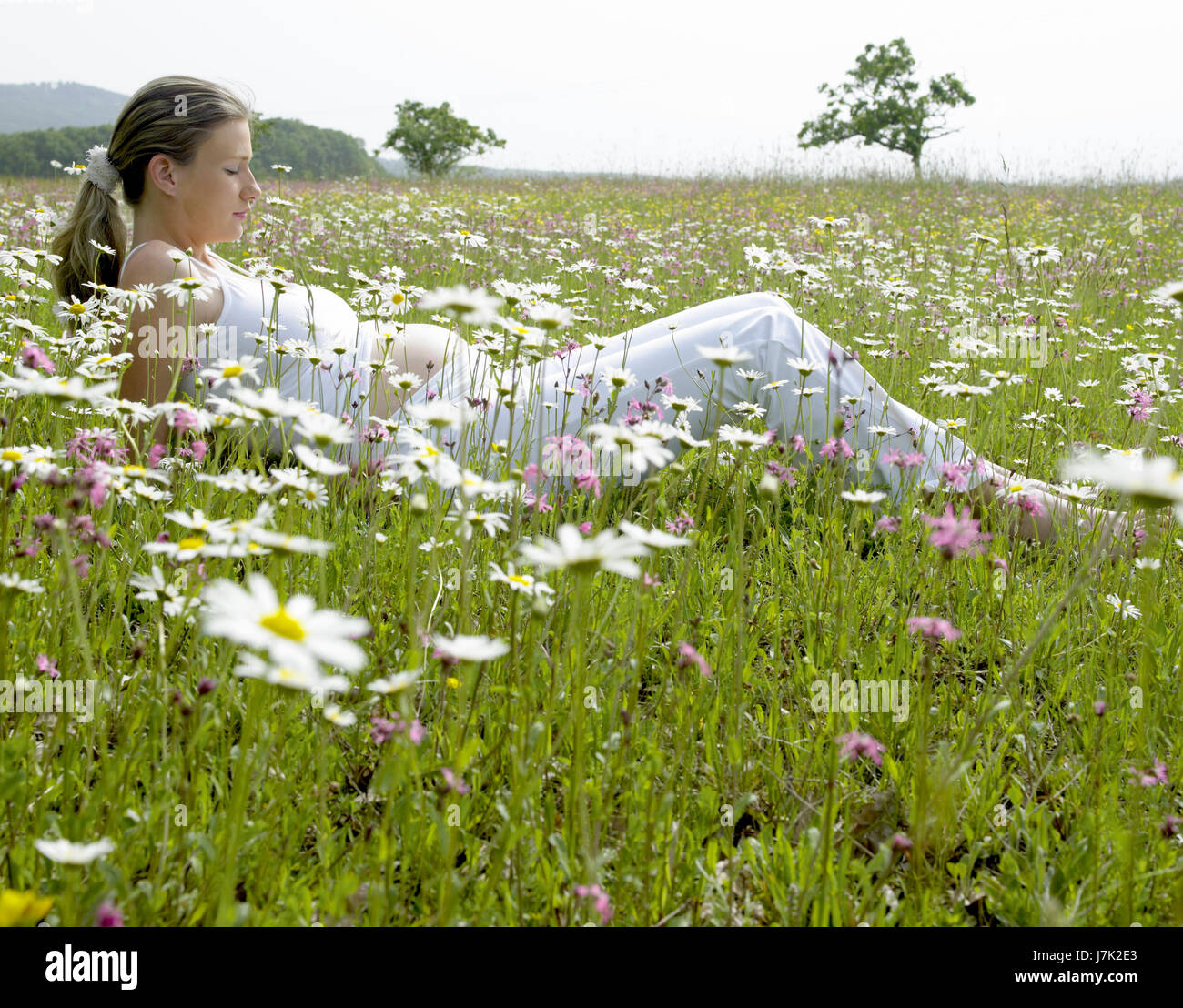 woman woman humans human beings people folk persons human human being ...